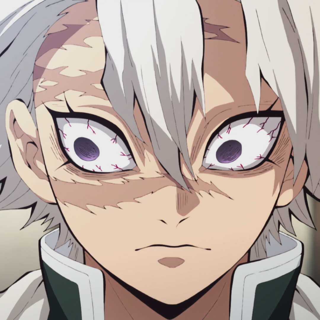 Sanemi Shinazugawa – Demon Slayer: To the Hashira Training Character ...