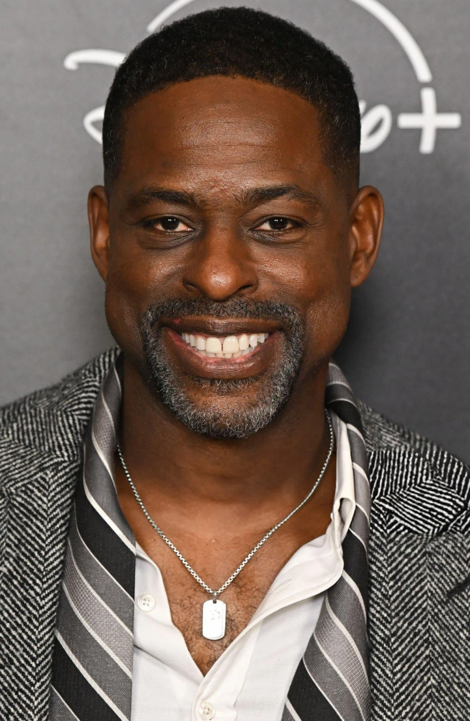 Sterling K. Brown – Voice Actor Profile & Notable Roles